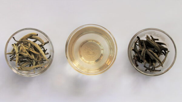 White Tea Types: What You Should Know | IW Blog