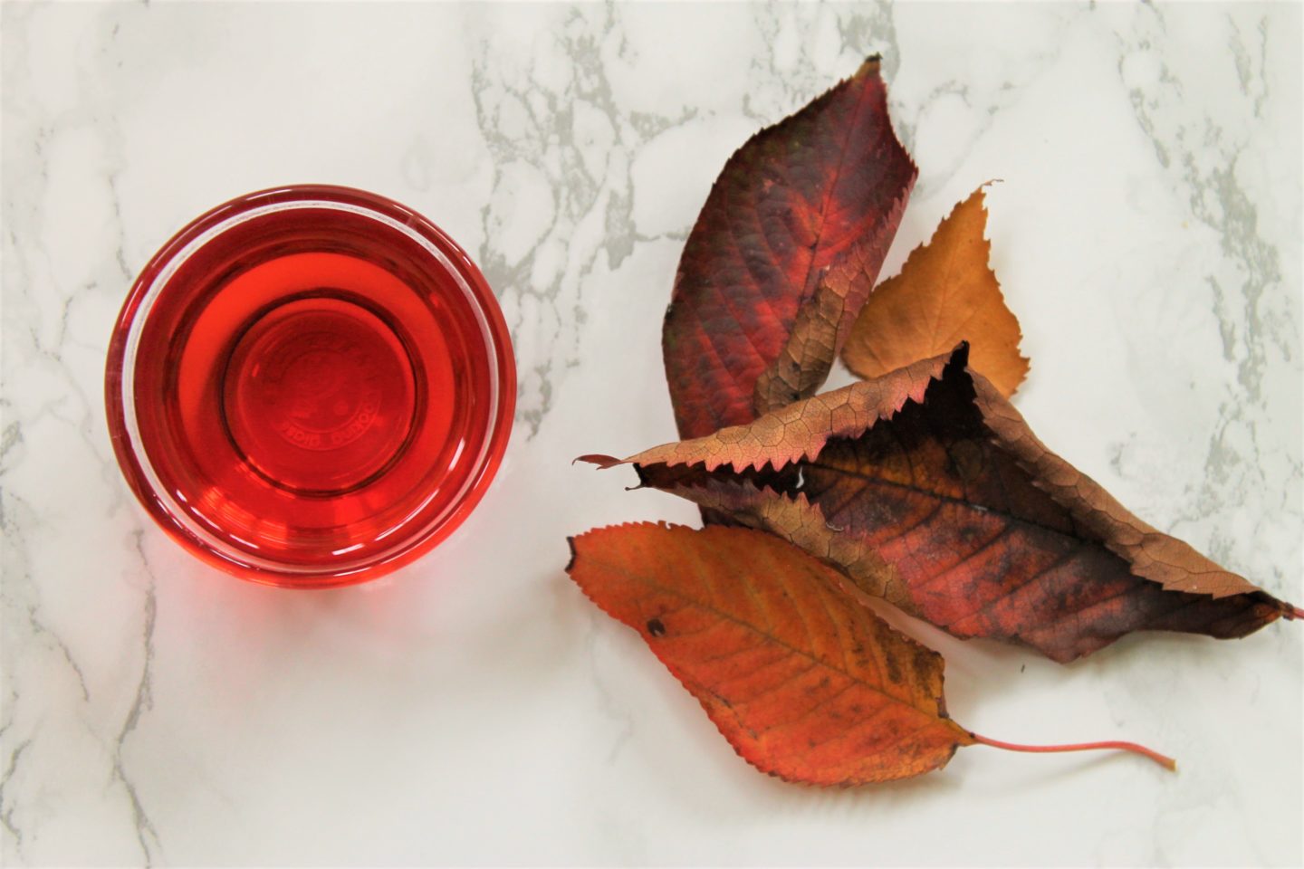 The 10 Best Hibiscus Teas for Hibi-Lovers! | Izzy’s Corner Tea Blog