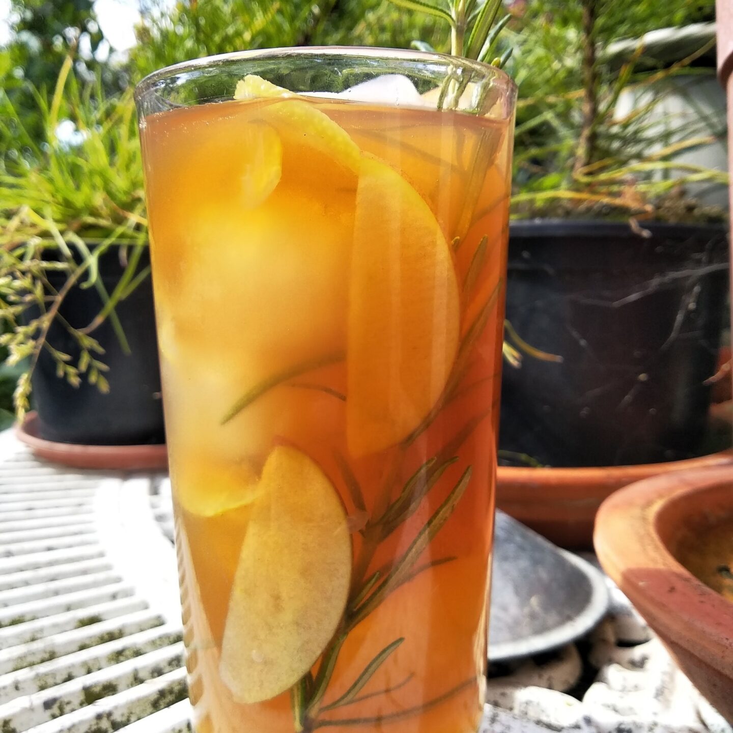 Tim Hortons Apple Cinnamon Tea Review | Izzy's Corner at IW