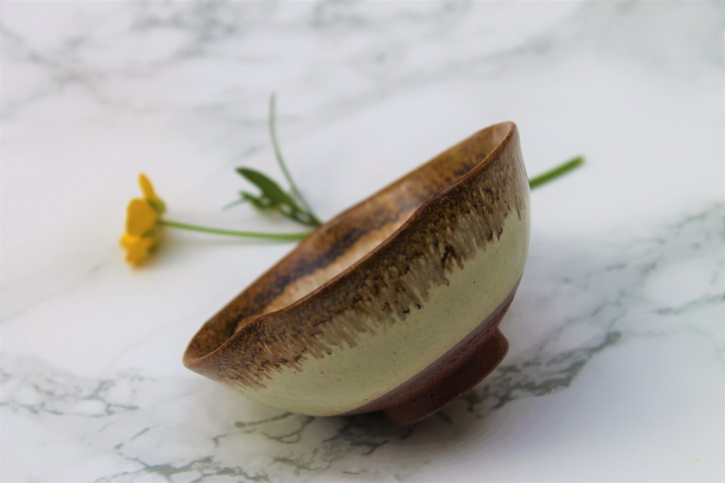 Rainforest Wall Japanese Tea Cup Review (Umi Tea Sets) | IW