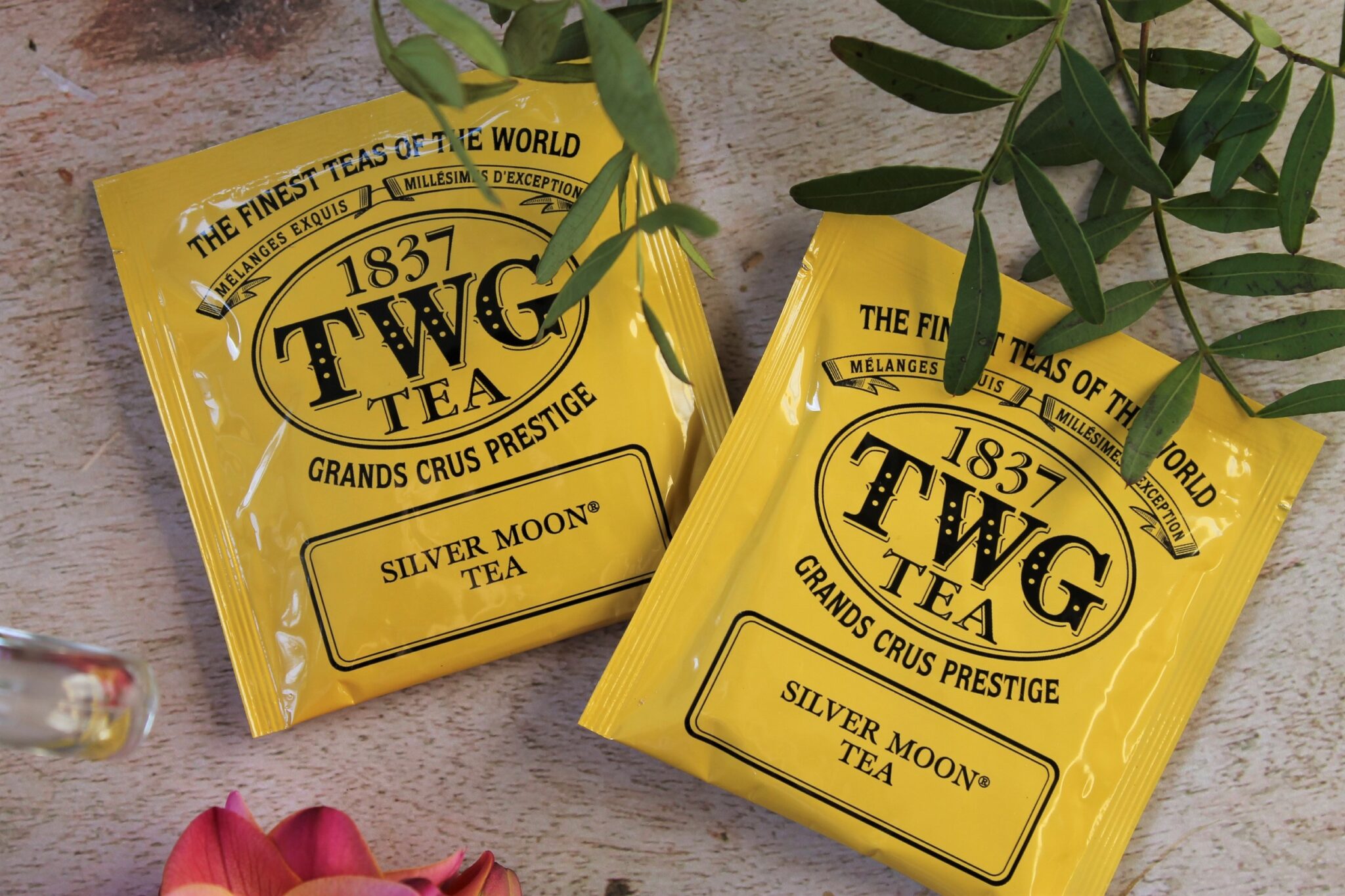 TWG Tea Silver Moon – Is It Good? | IW Tea Blog