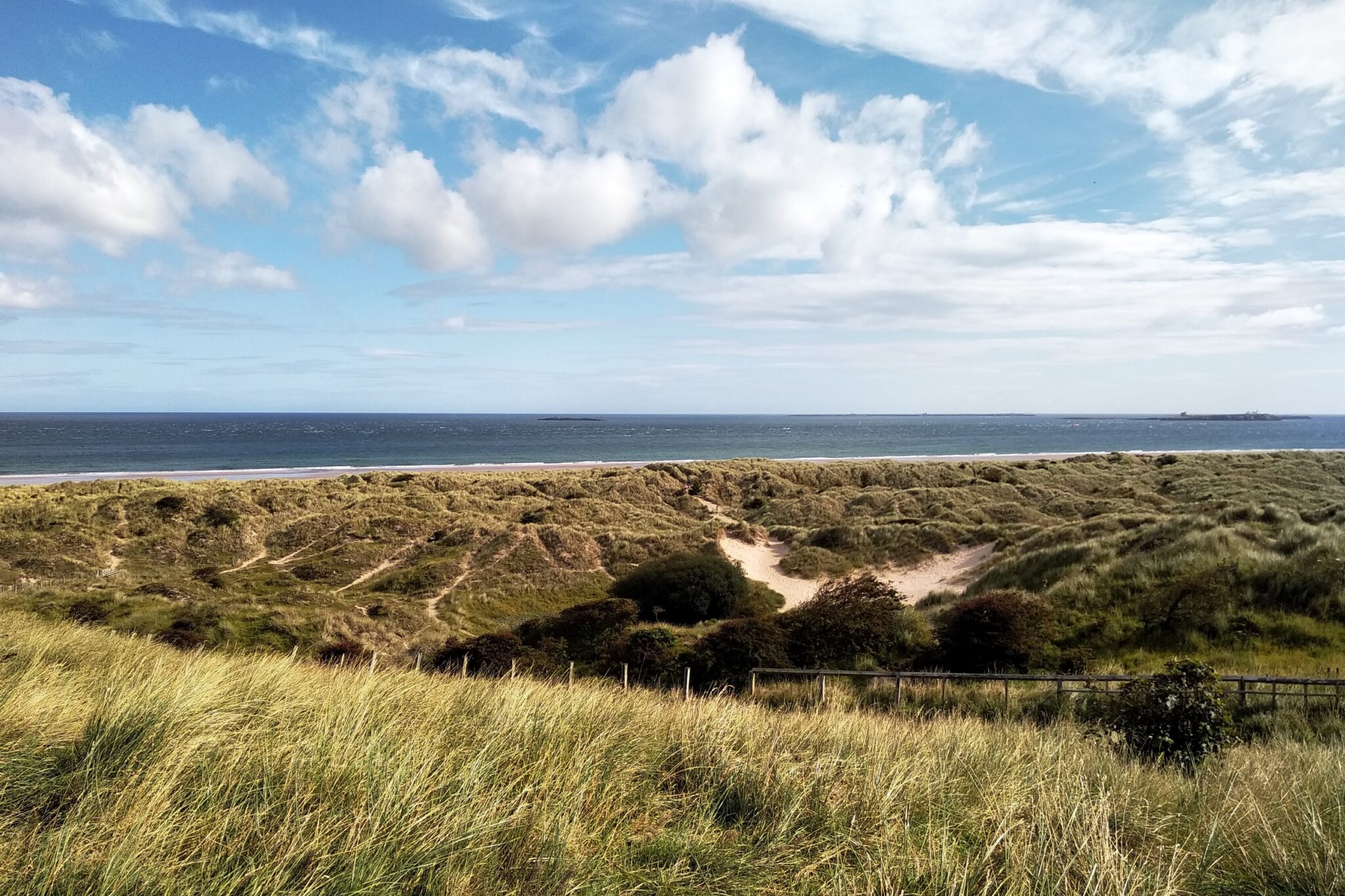 Grace Darling and SS Forfarshire | Immortal Wordsmith Blog