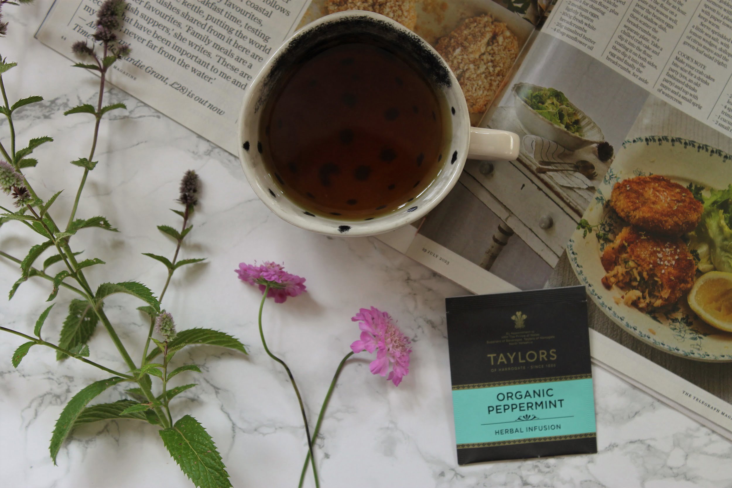 Taylors of Harrogate Organic Peppermint Tea Review | IW Blog